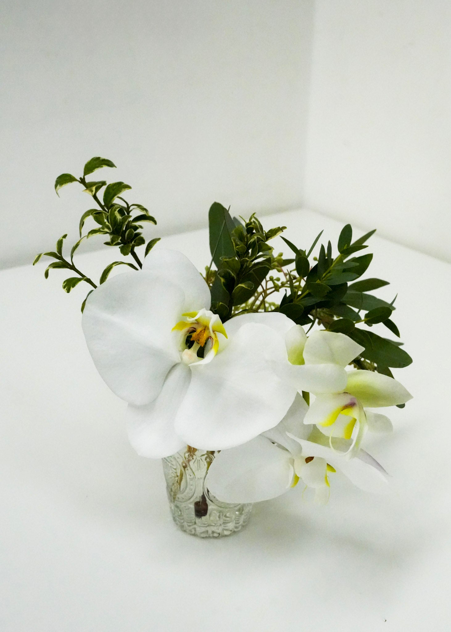 Mini Orchid Arrangement in a Vase - Flower & Plant Free Delivery ...