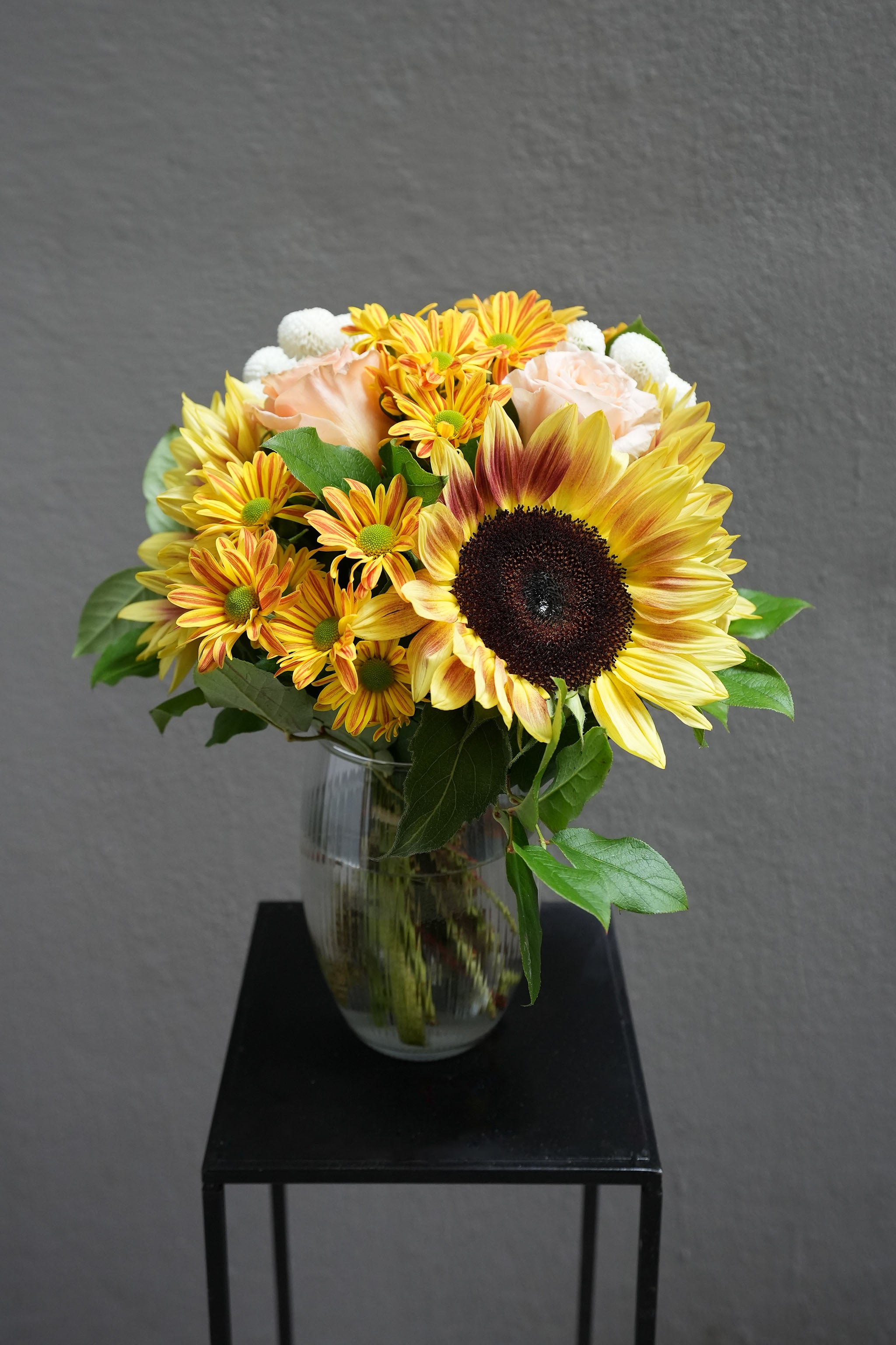 New Chapters - Flower & Plant Free Delivery | Toronto Flower Shop ...