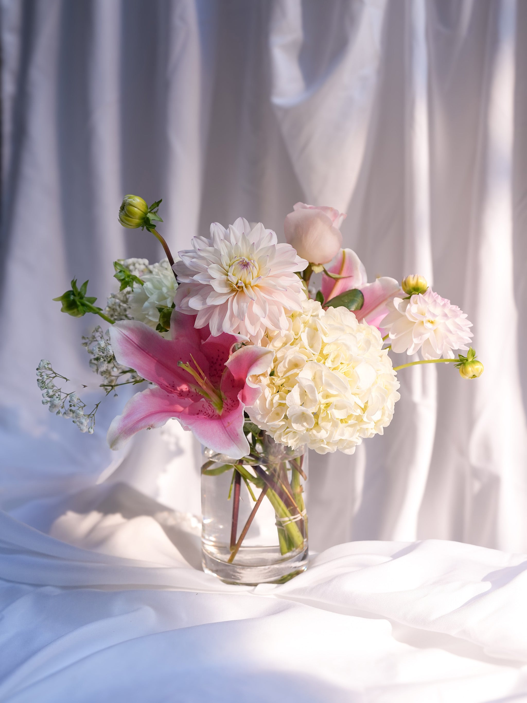 Verdant Bliss - Flower & Plant Free Delivery | Toronto Flower Shop ...