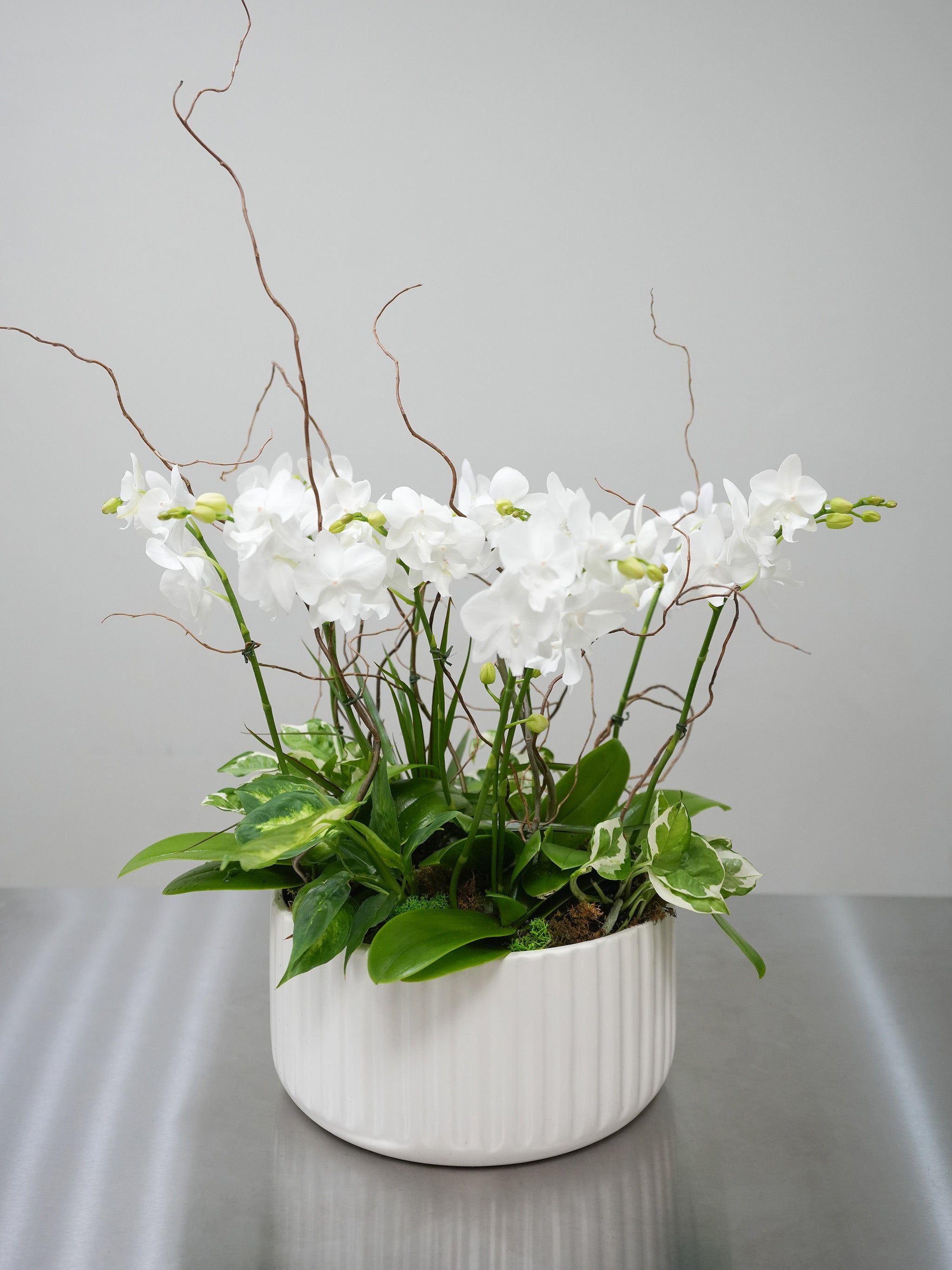Medium Orchid Arrangement - Flower & Plant Free Delivery | Toronto ...