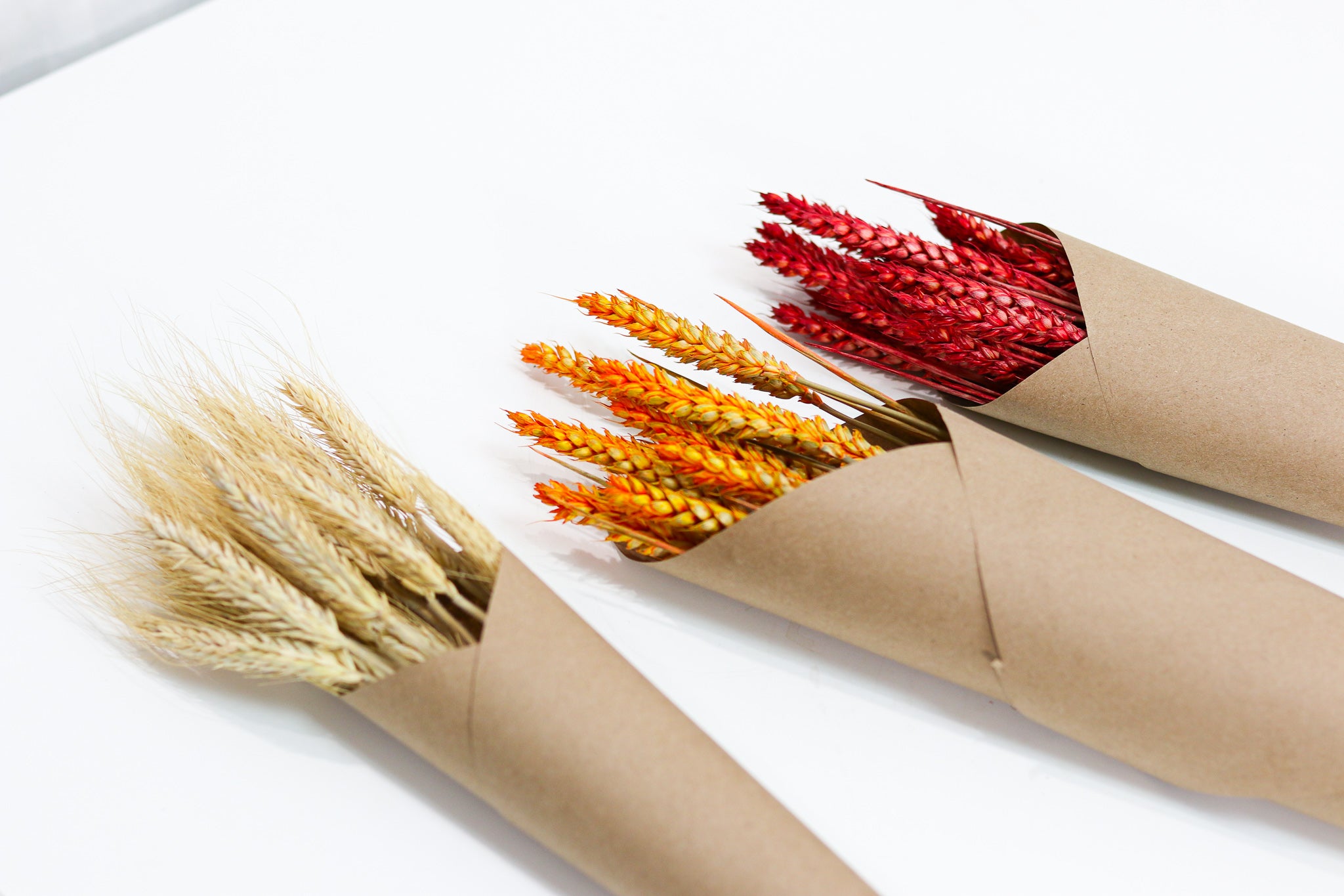 Dried Wheat Flower - Flower & Plant Free Delivery | Toronto Flower Shop ...