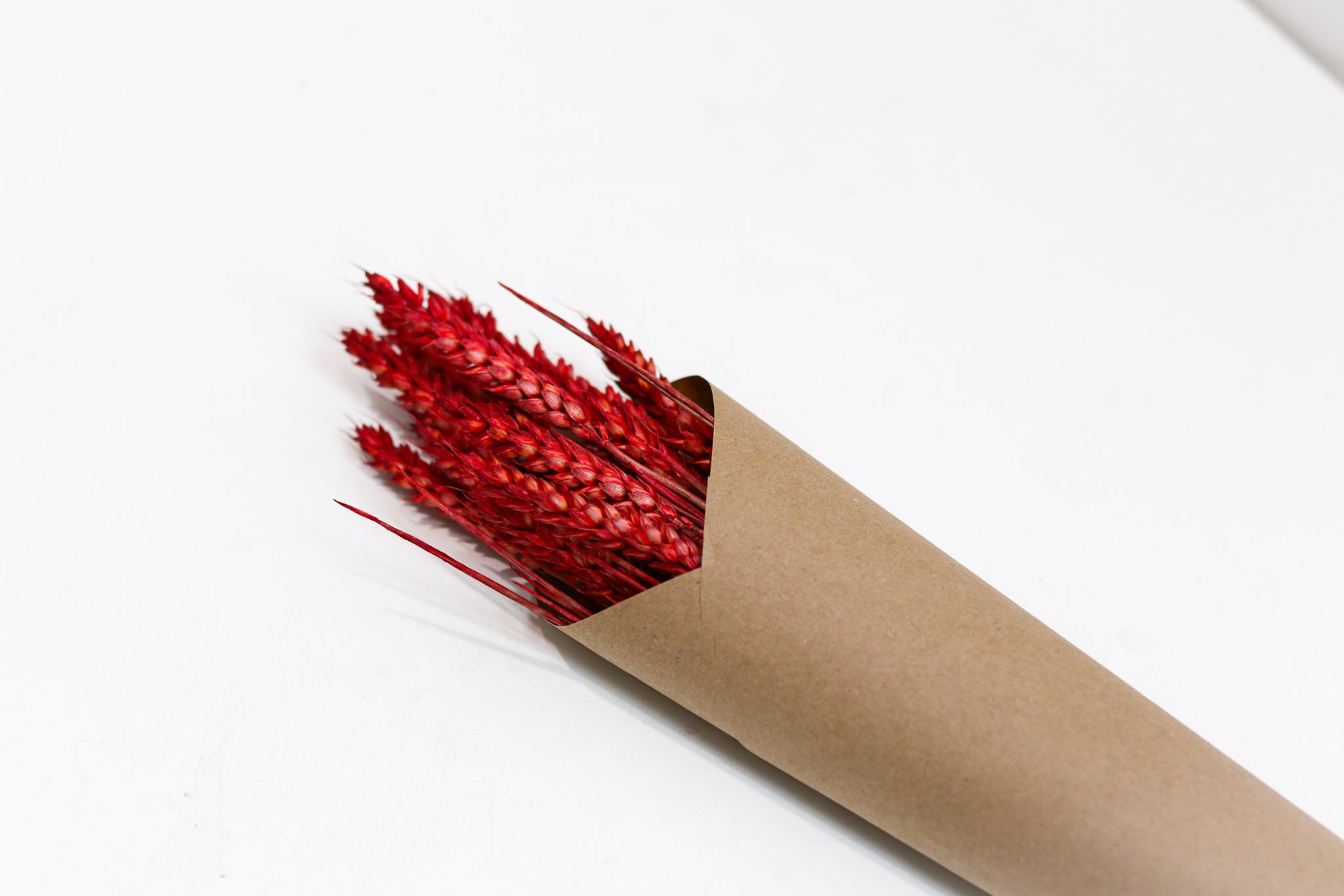 Dried Wheat Flower - Flower & Plant Free Delivery | Toronto Flower Shop ...