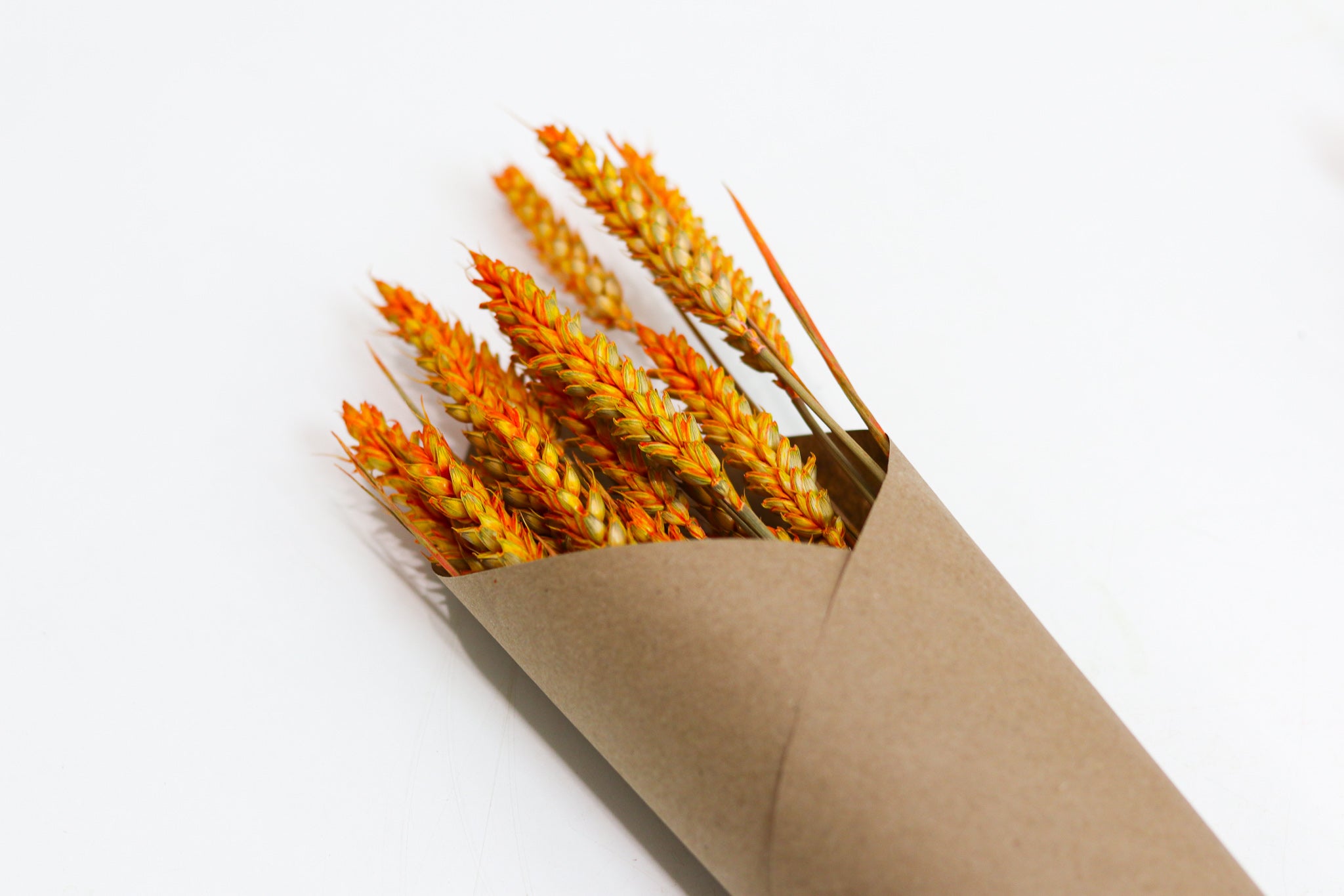 Dried Wheat Flower - Flower & Plant Free Delivery | Toronto Flower Shop ...