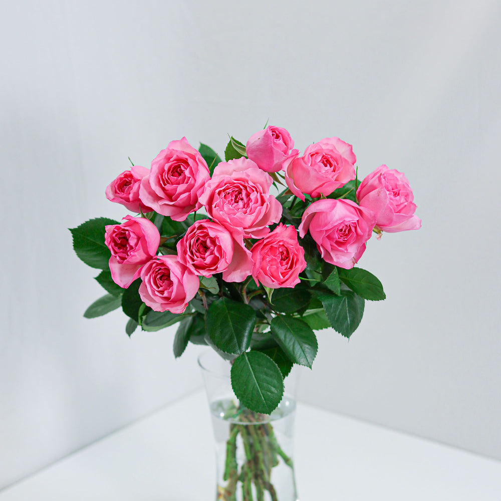 Rose - Flower & Plant Free Delivery | Toronto Flower Shop – Toronto ...