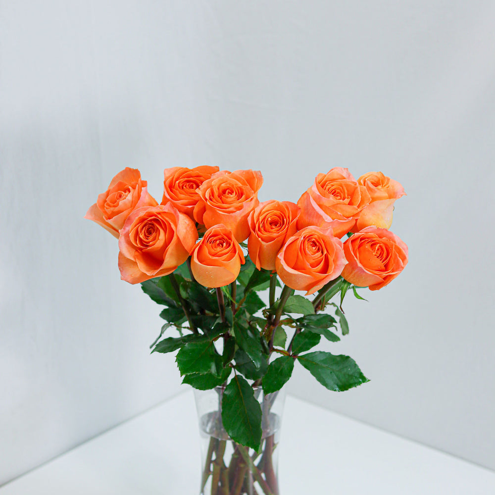 Rose - Flower & Plant Free Delivery | Toronto Flower Shop – Toronto ...